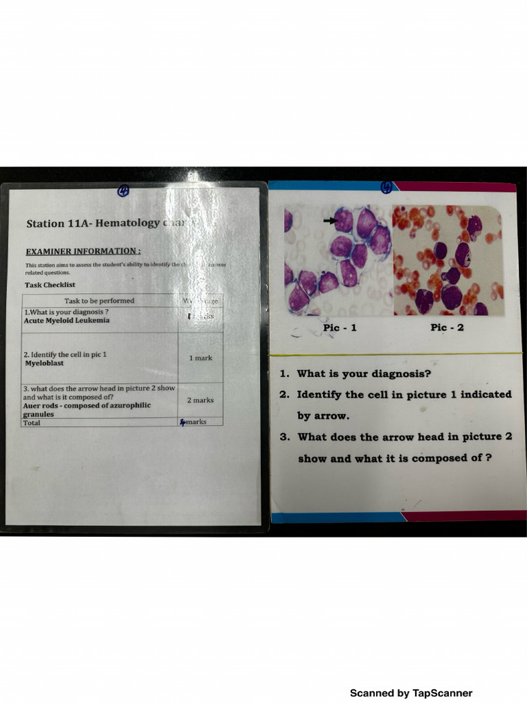 Pathology Spotters Charts 250106 190354 | PDF