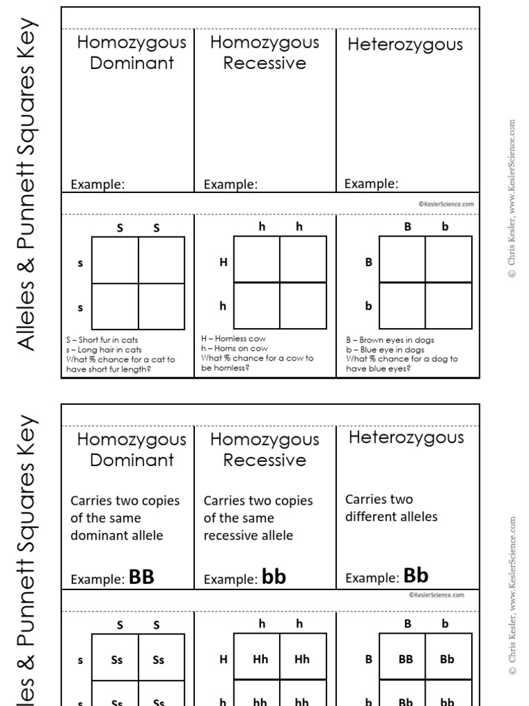 Homozygous Dominant Homozygous Recessive Heterozygous: Example: Example ...