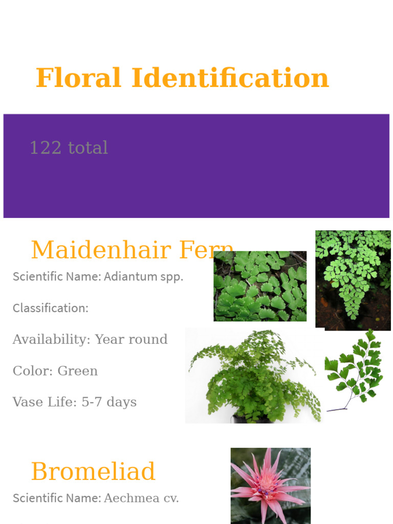 2025 Floral Identification Power Point List | PDF | Botany | Plants