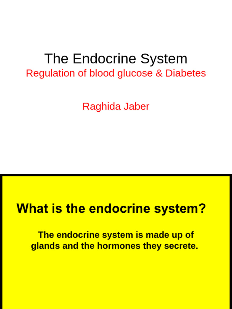 = final ppt endocrine system = pancreas = diabetes | PDF | Endocrine ...