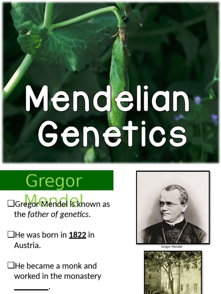 Gregor Mendel's Genetic Discoveries | PDF | Dominance (Genetics) | Genotype