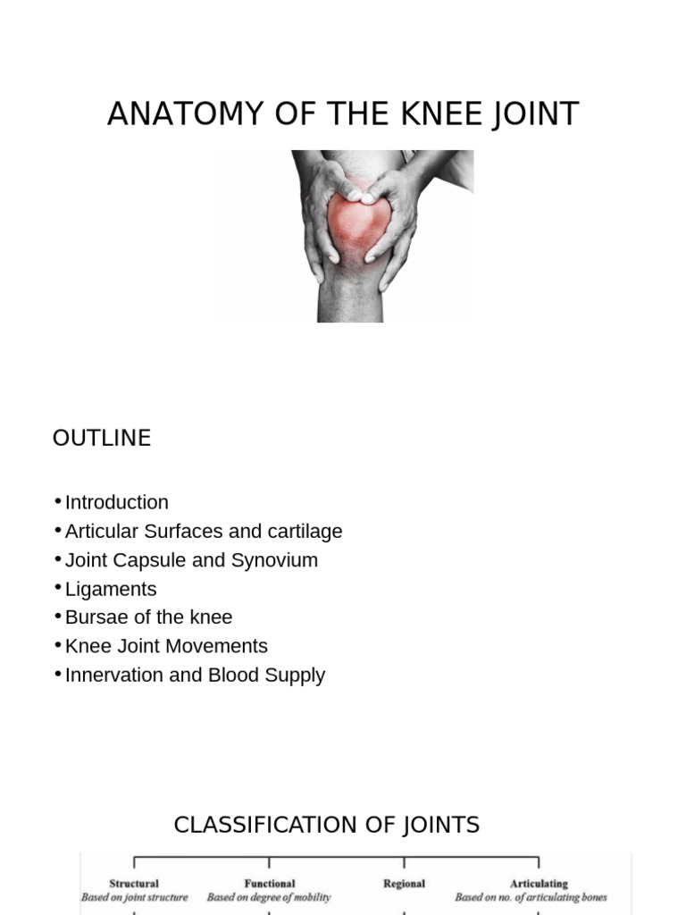 Knee Joint Locking Mechanism Explained | PDF | Knee | Joints