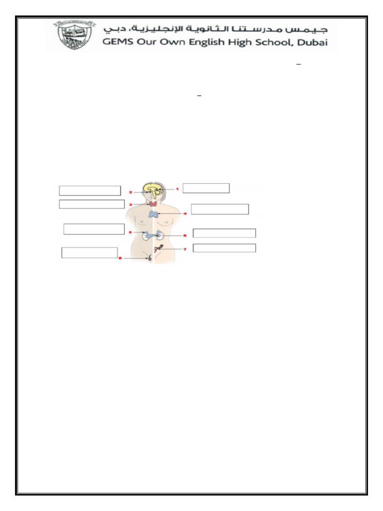 Control and Coordination - Hormones Worksheet | PDF | Plant Hormone | Auxin