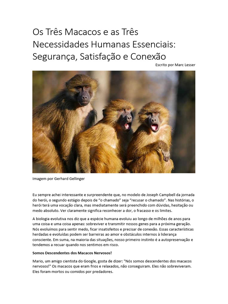 Três Macacos e Necessidades Humanas | PDF | Pensamento | Liderança