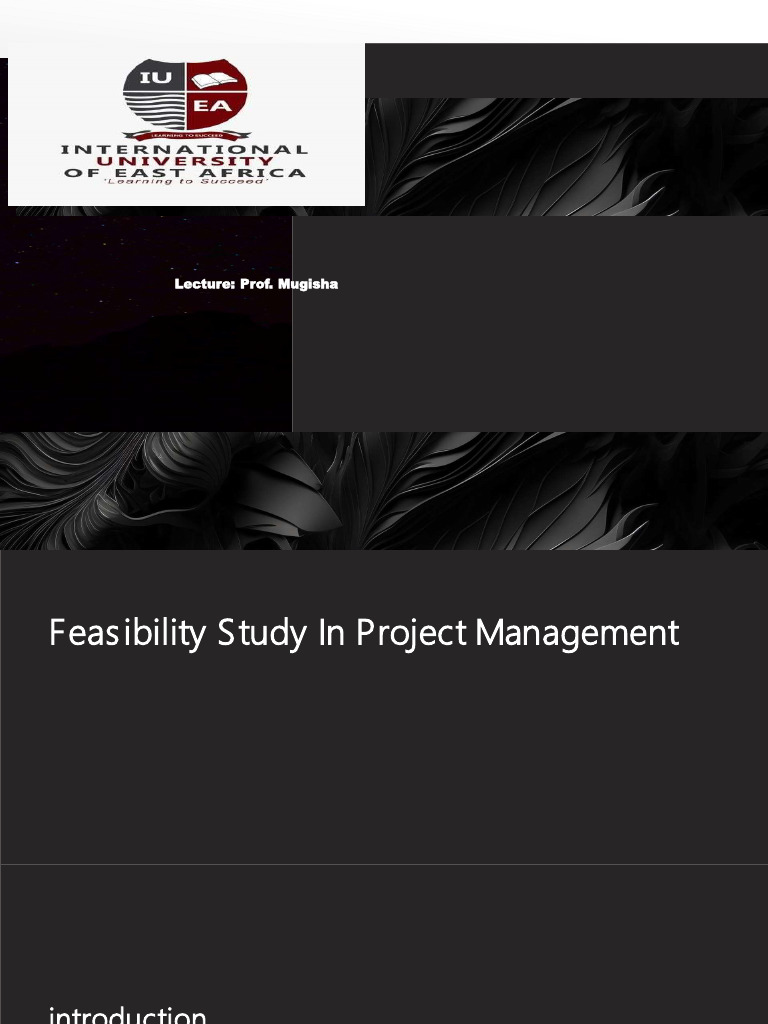 lecture 8 FEASIBILITY STUDIES | PDF | Feasibility Study | Risk