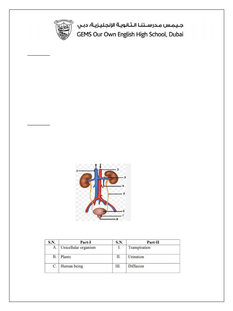 Life Processes - Excretion | PDF