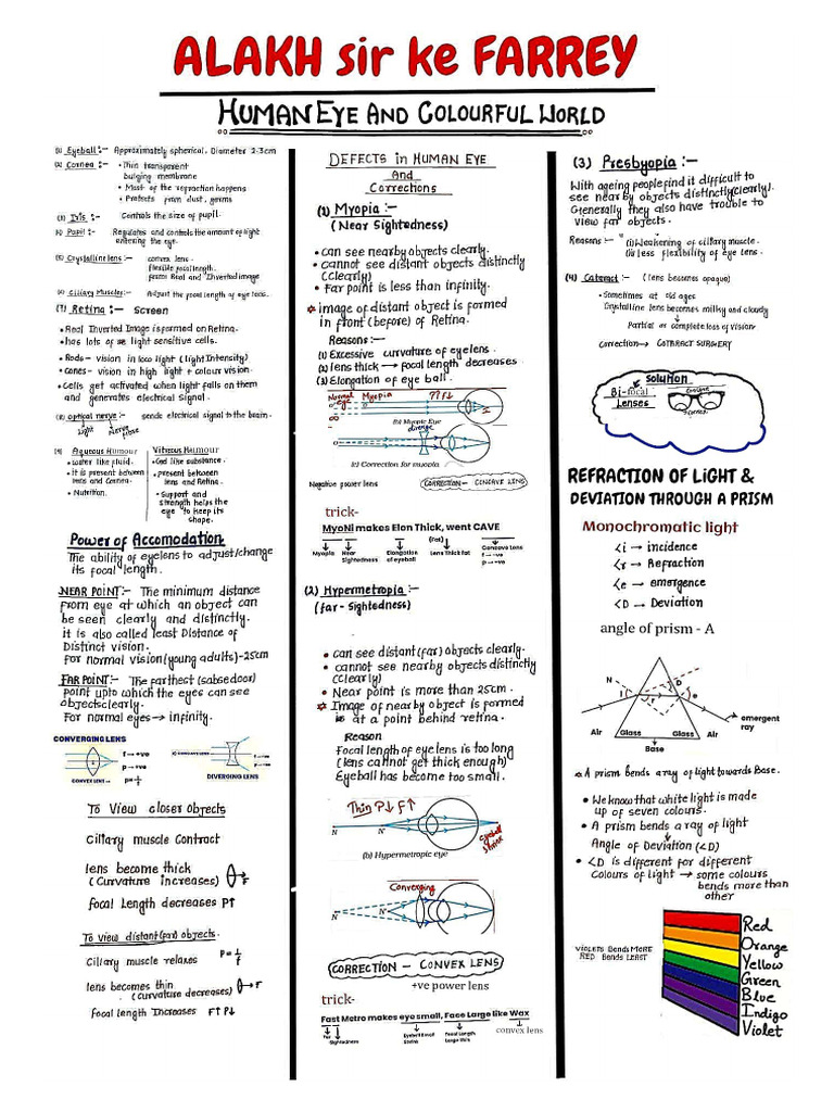 Human Eye Farrey | PDF