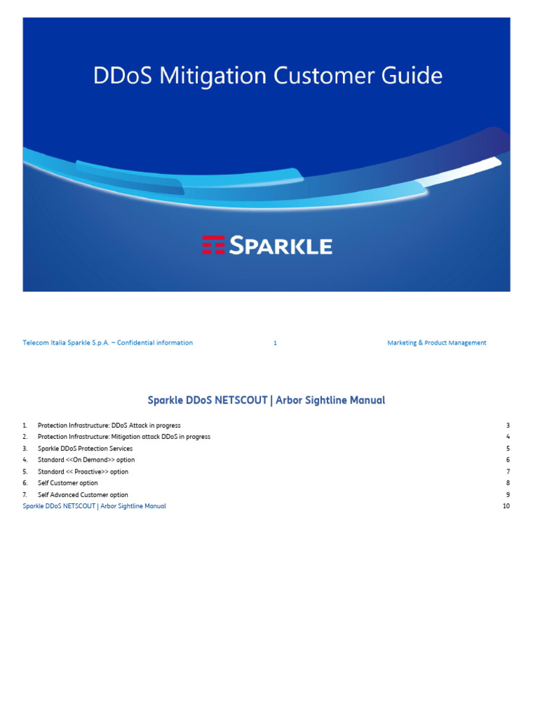 241120 Seabone Self DDoS Mitigation User Guide | PDF | Transmission Control Protocol | Denial Of ...