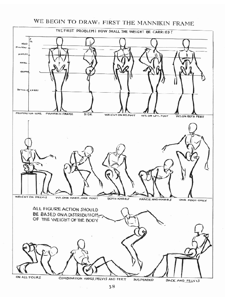 The Mannikin Frame - A. Loomis | PDF