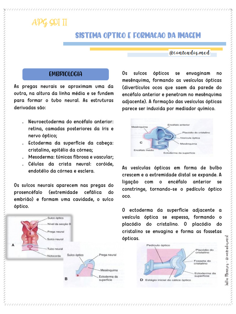 APG 12 Sistema Óptico e Formação Da Imagem | PDF | Olho humano ...
