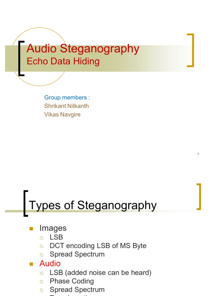 Audio Steganography Echo Data Hiding | PDF