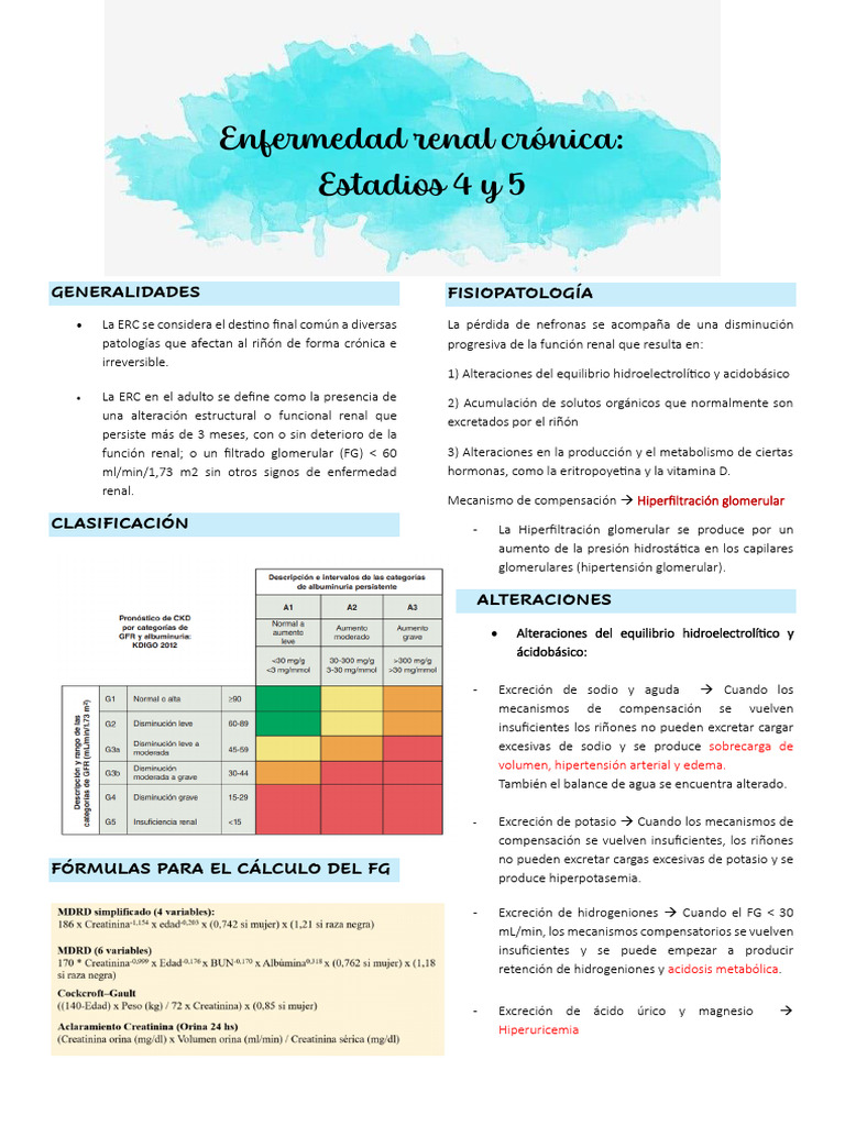 Manifestaciones y Tratamiento de la ERC | PDF | Riñón | Sistema urinario