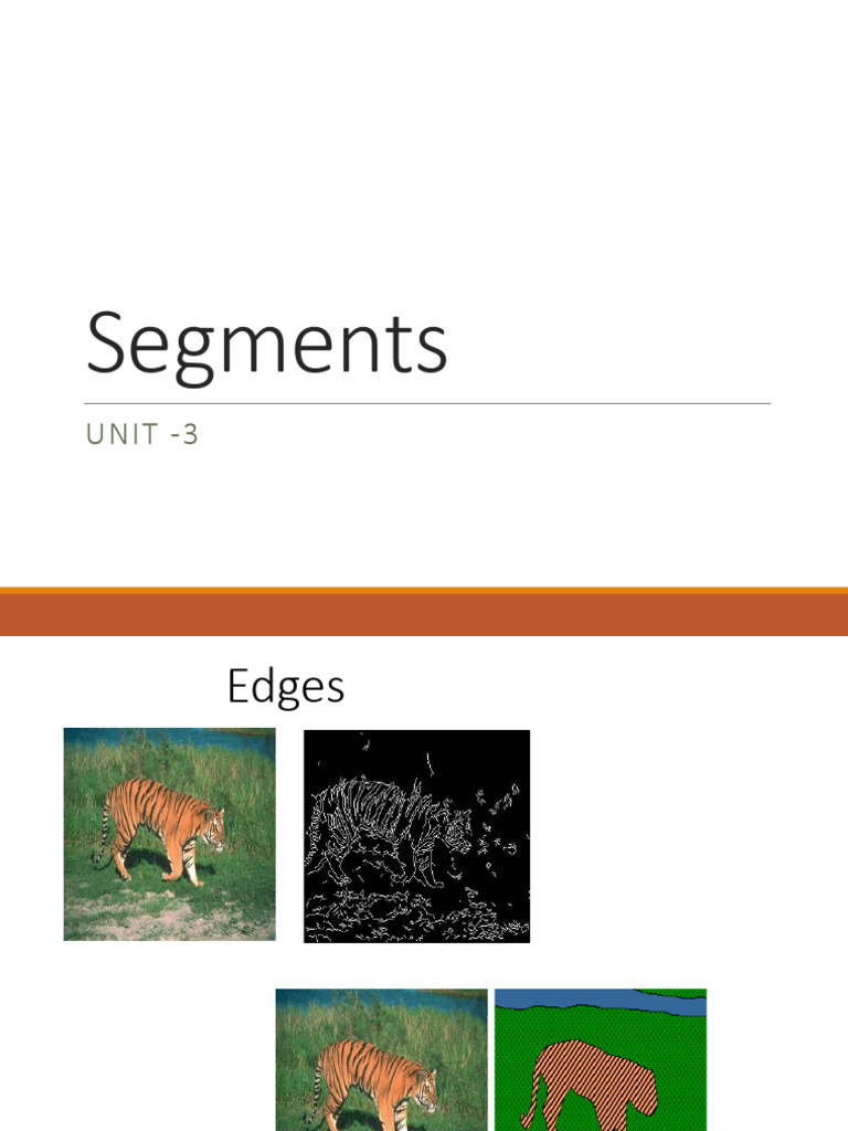 Image Segmentation Techniques Explained | PDF | Computer File | Pointer ...
