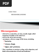 Grade 12 Evolution Summary Notes | PDF | Evolution | Life