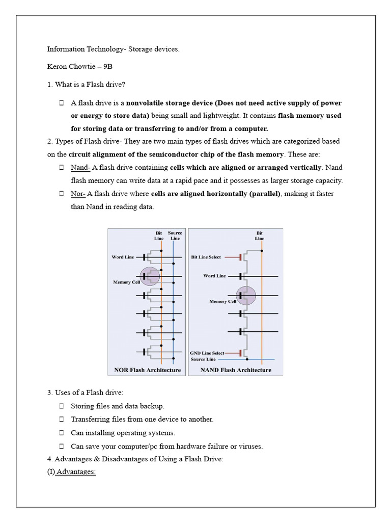 Information Technology - The Flash Drive | PDF