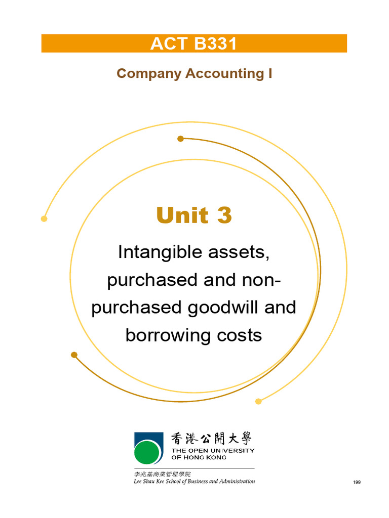 Company Accounting I (Unit 3) | PDF | Intangible Asset | Goodwill ...