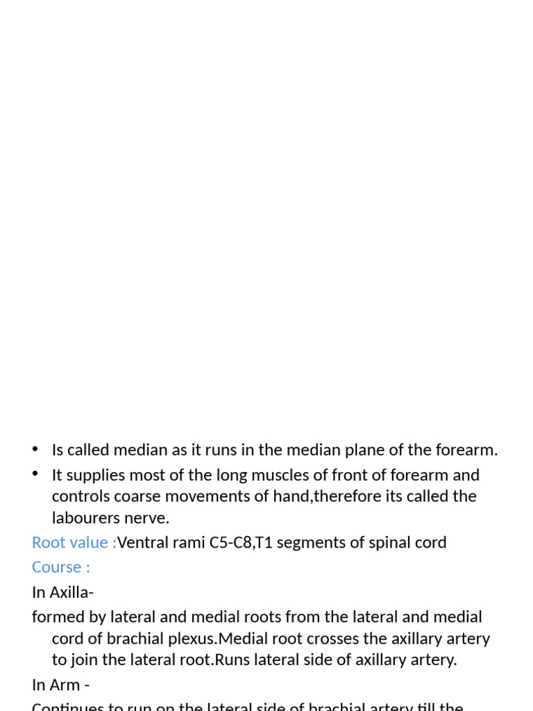 Anatomy and Function of the Median Nerve | PDF