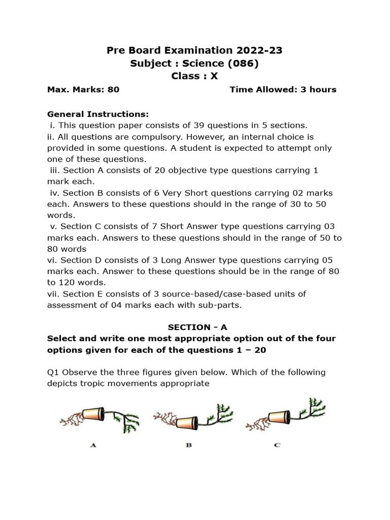 Pre Board Examination 2022-23 | PDF | Rust | Acid