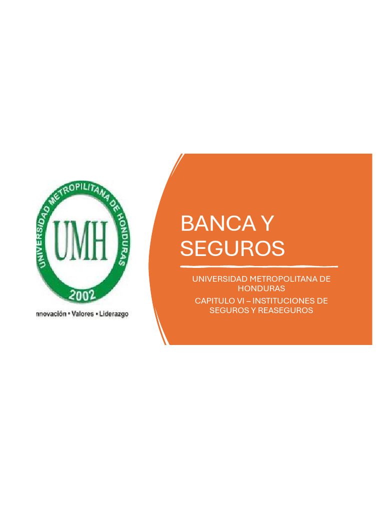 Ley de Seguros y Reaseguros en Honduras | PDF | Reaseguro | Seguro