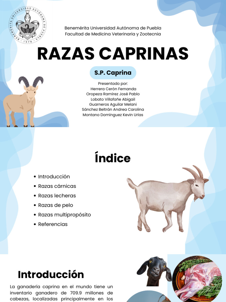 Razas Caprinas: Características y Usos | PDF | Queso