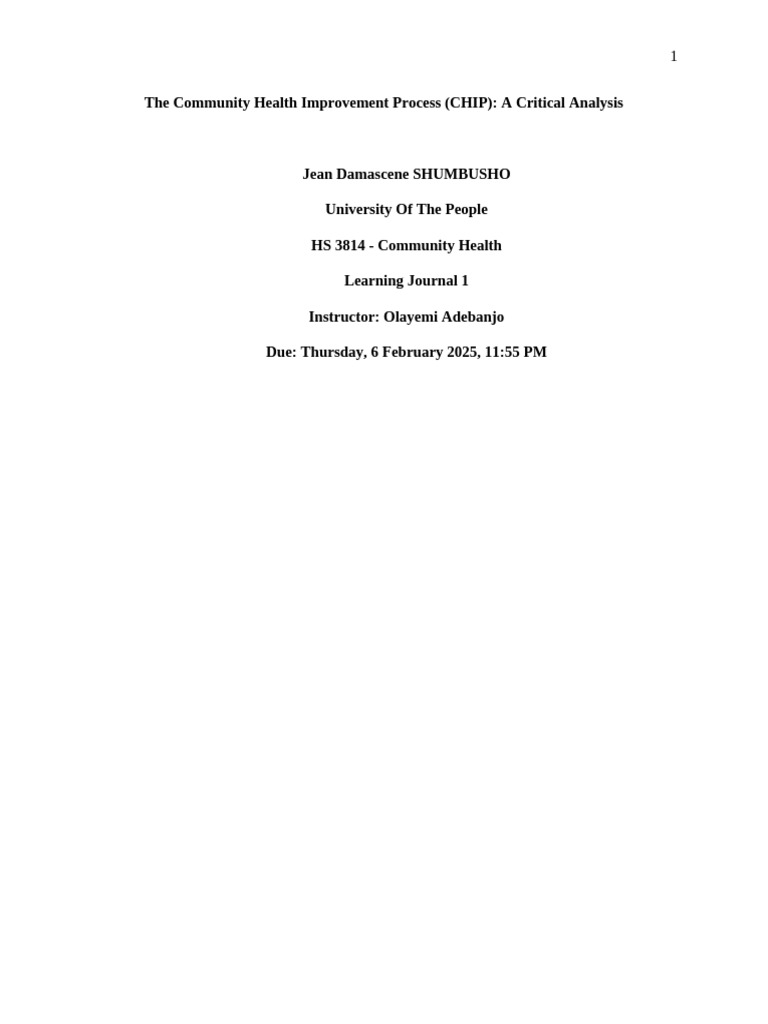 The Community Health Improvement Process (CHIP) A Critical Analysis ...