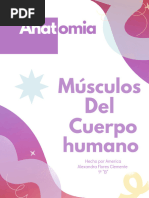 Músculos del Cuello: Anatomía y Funciones | PDF | Hombro | La columna ...