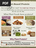 Plant-Based Protein Sources Handout (1) - 1737209874533 | PDF