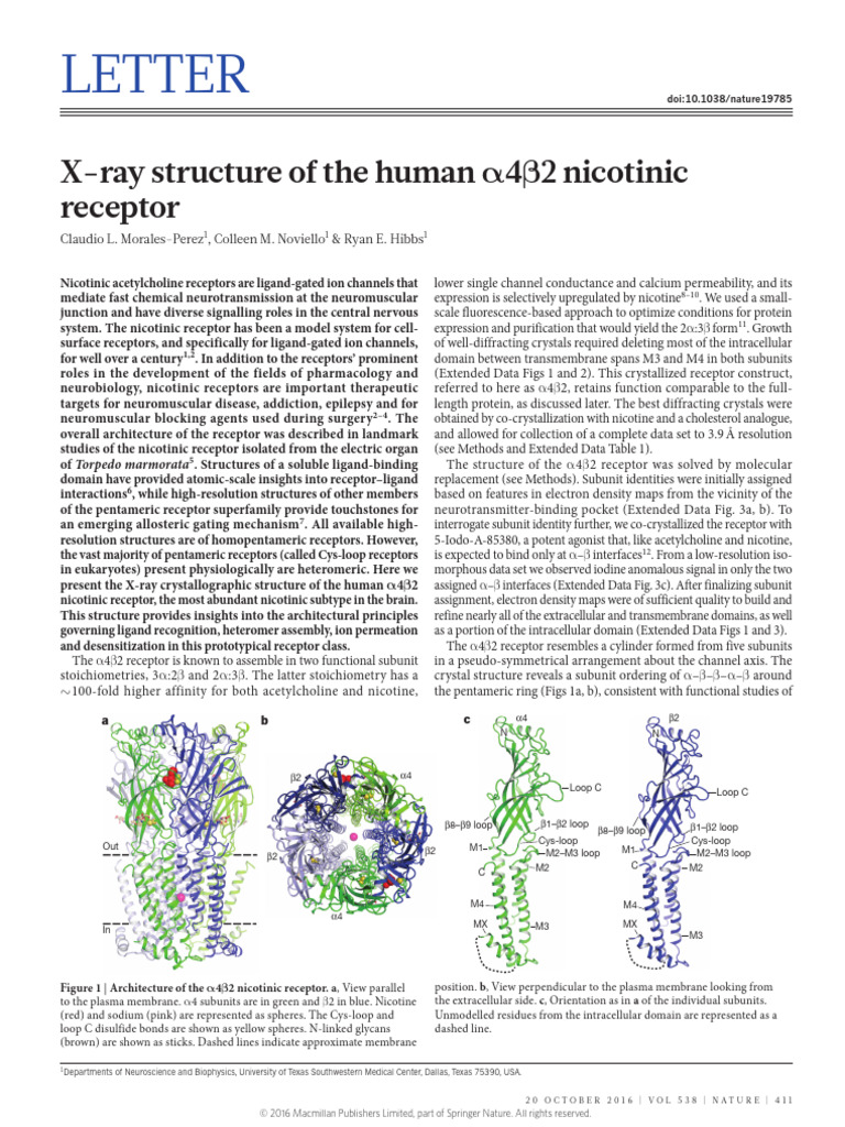X-ray structure of the human α4β2 nicotinic receptor | PDF | Receptor ...