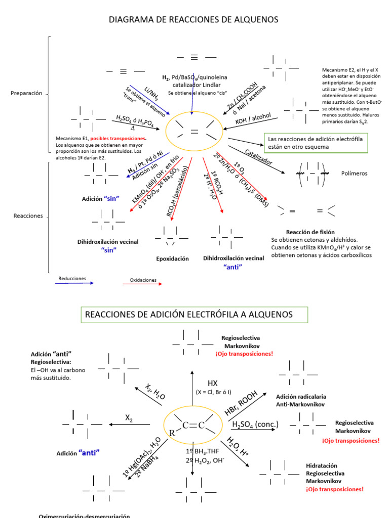 Esquema de Reacciones de Alquenos y Alquinos | PDF | Química | Química Orgánica