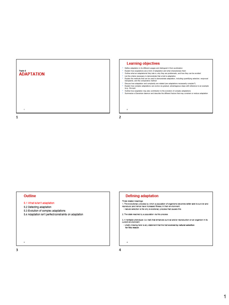 5. slides_4 per page | PDF | Adaptation | Evolution