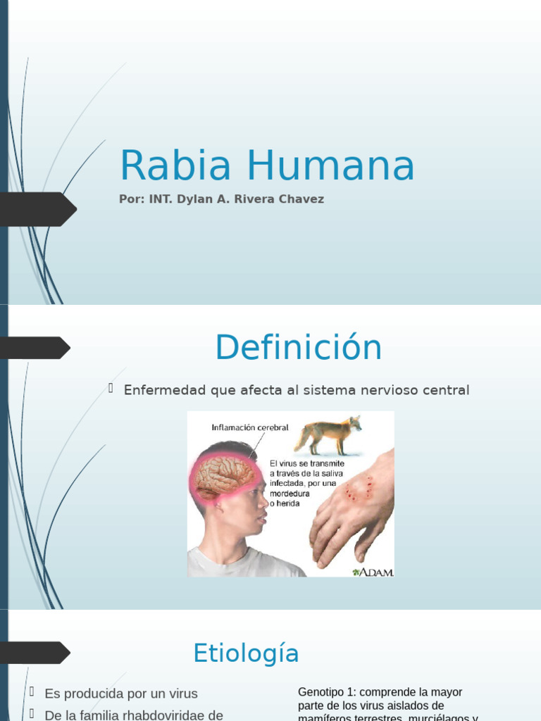 Rabia | PDF | Rabia | Especialidades Medicas