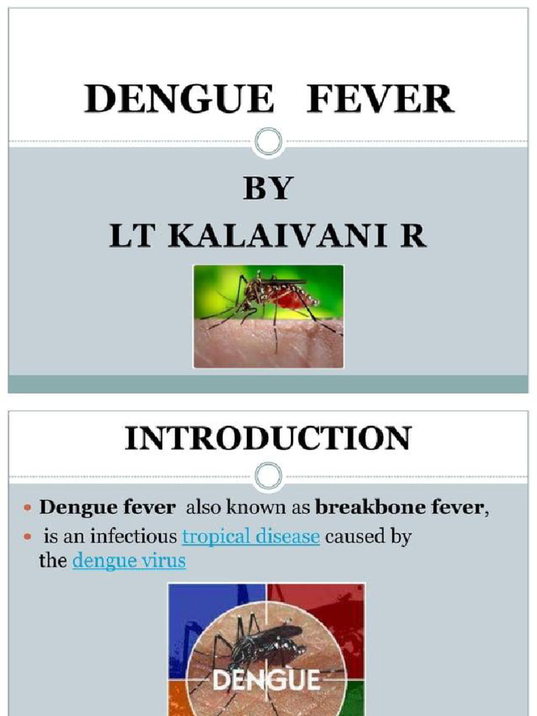 Dengue Fever PPT - 20240614 - 194253 | PDF