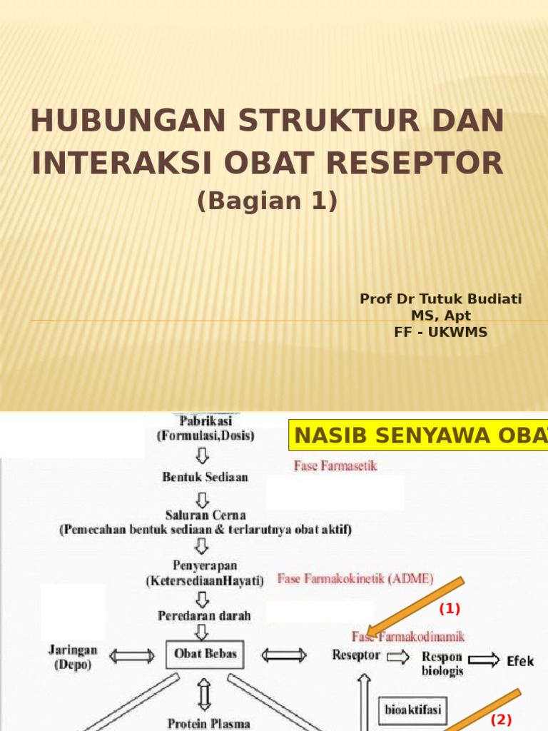 01(24). HUBUNGAN STRUKTUR DAN INTERAKSI OBAT-RESEPTOR | PDF
