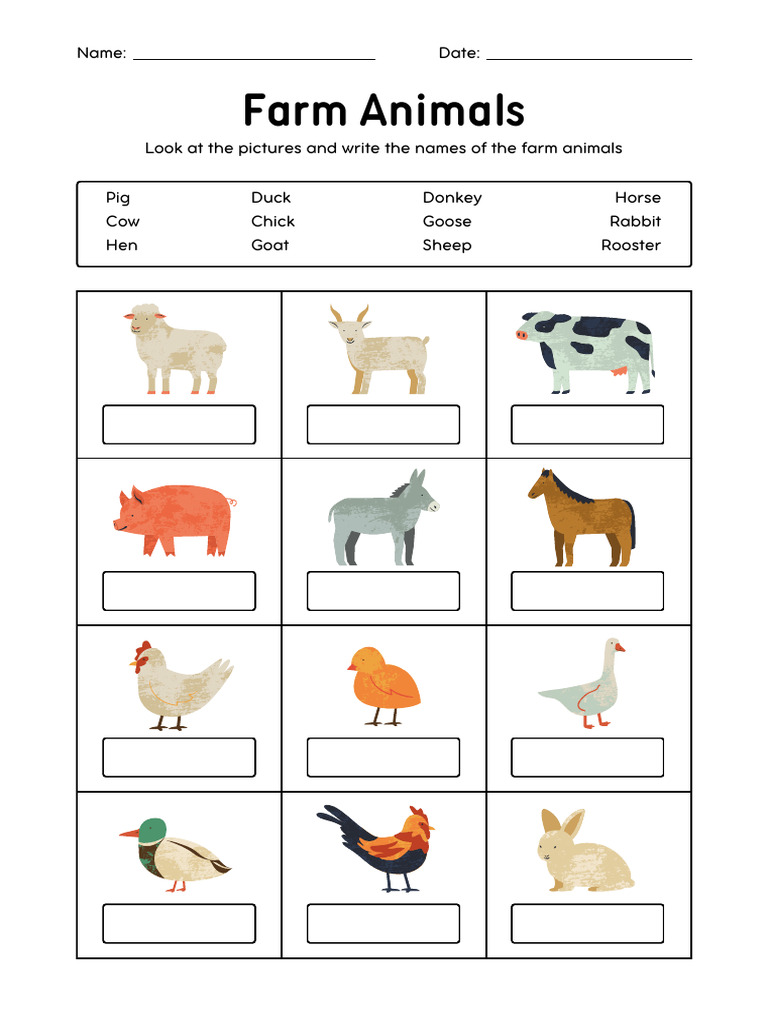 Farm Animal Identification Worksheet | PDF