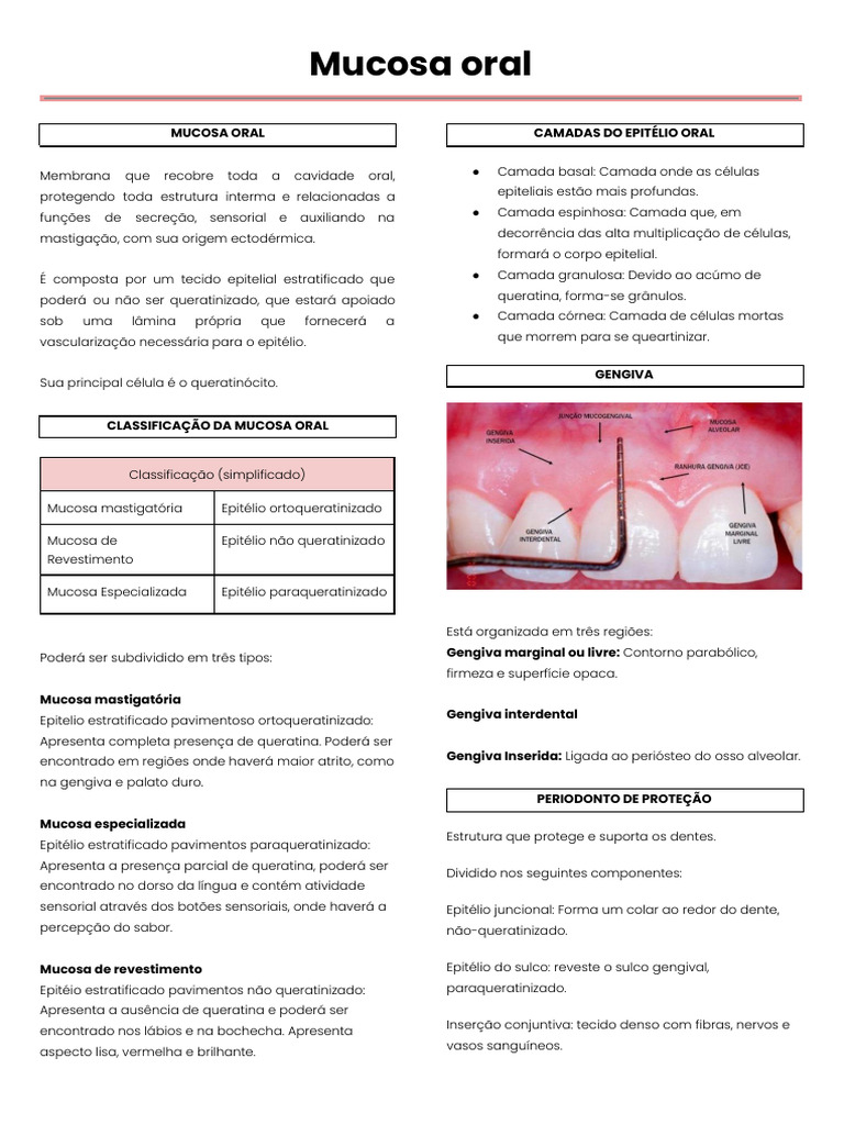 Estruturas da Mucosa Oral e Gengiva | PDF | Epitélio | Boca