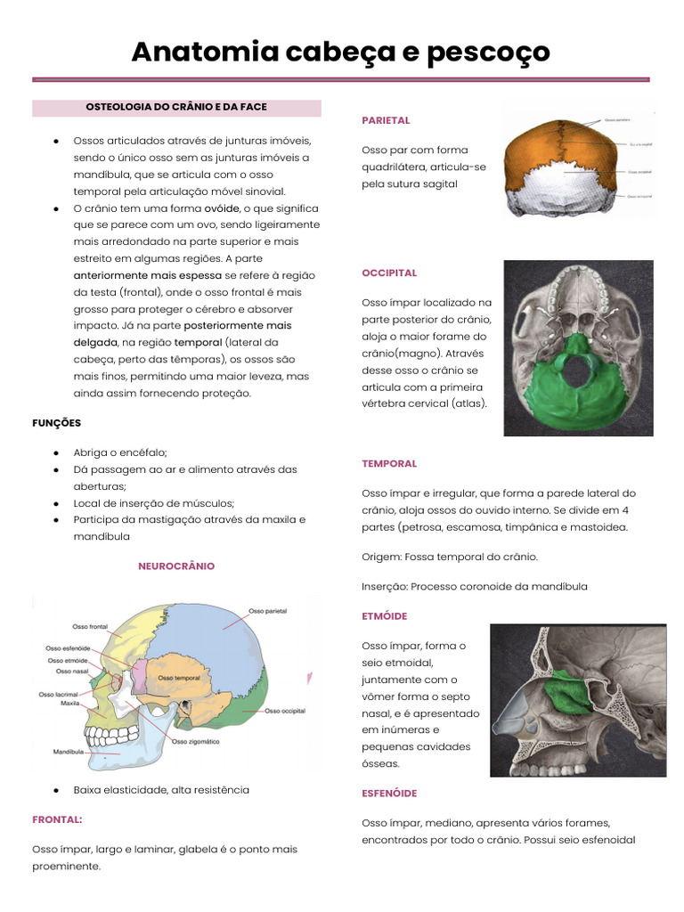 Osteologia Do Crânio e Da Face | PDF | Crânio | Sistema Esquelético