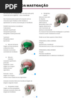 Anatomia da Tuberosidade Massetérica | PDF | Tecido macio | Sistema ...