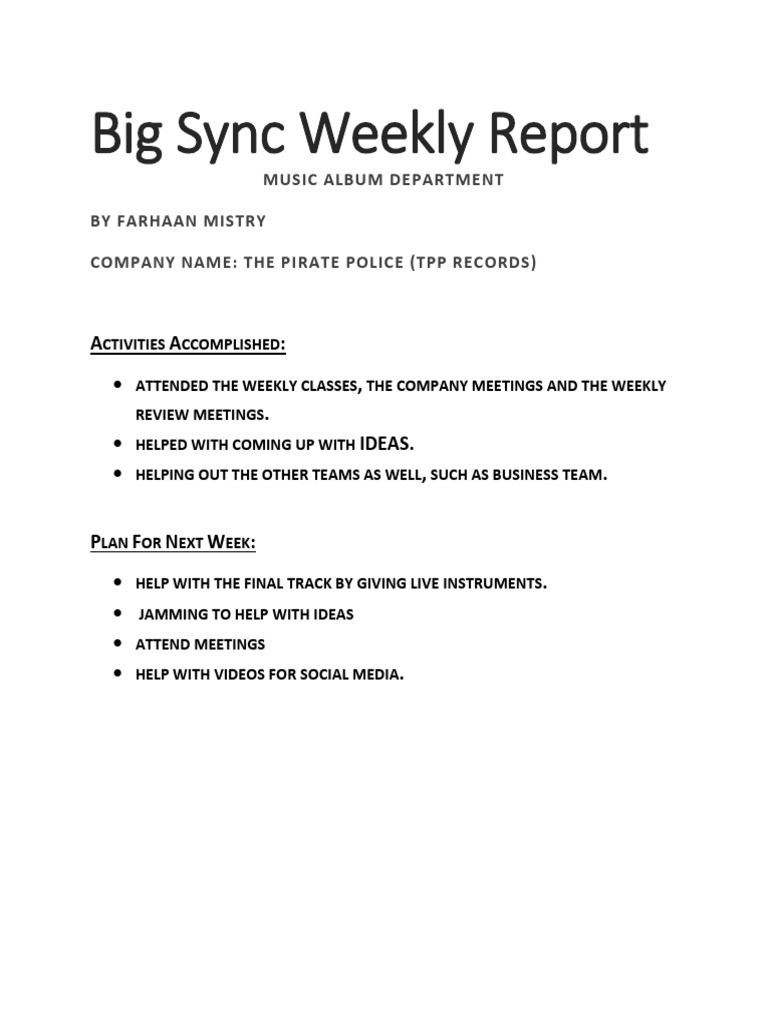 Big Sync Weekly Report 3_pirate Police_Farhaan Mistry | PDF