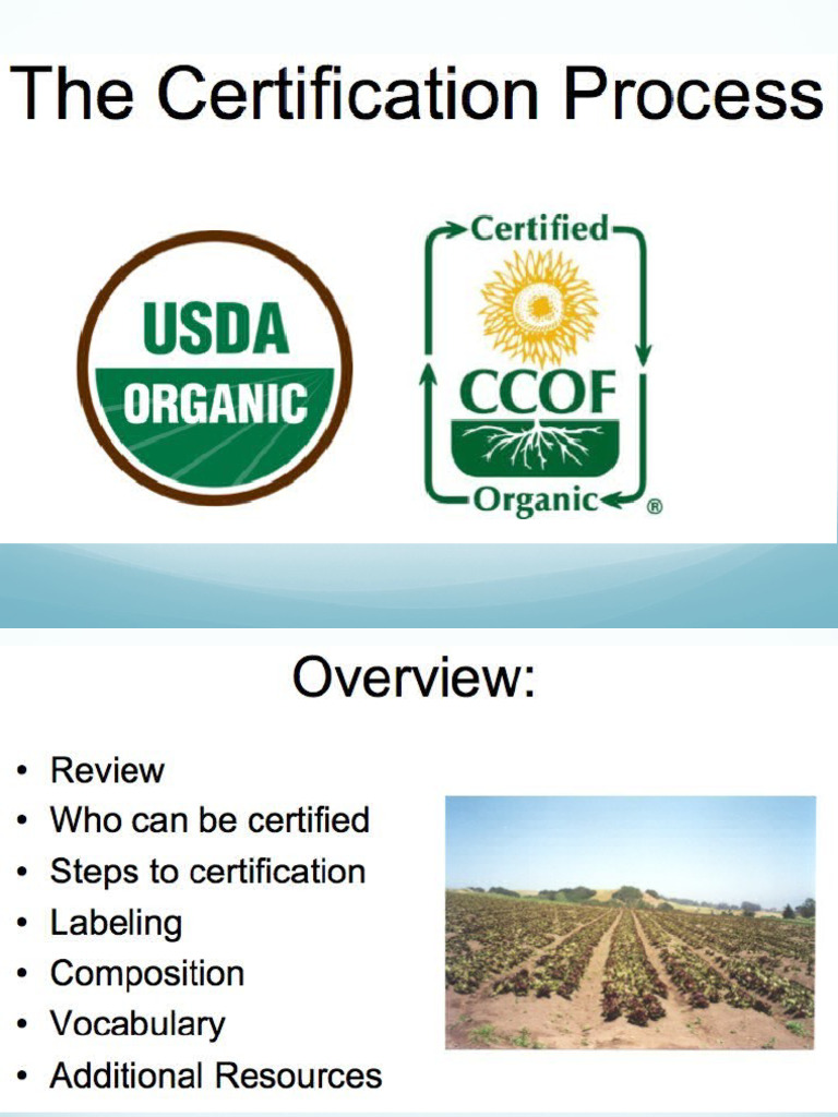 Certification Process | PDF