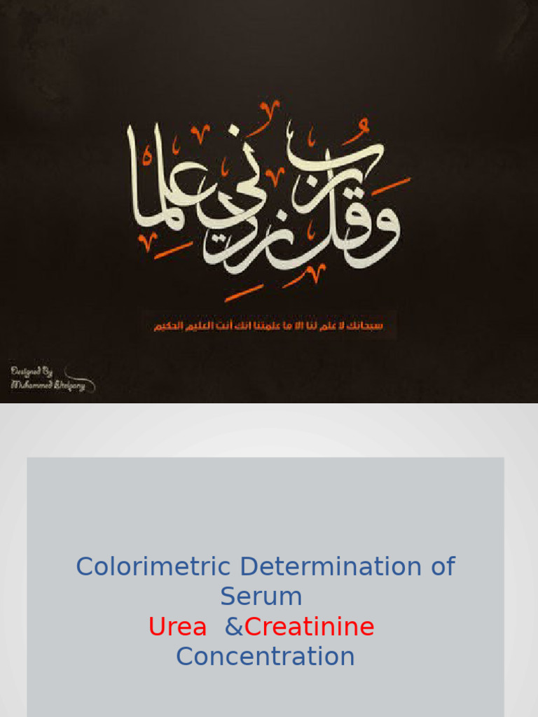 12- Renal Function Tests - Urea - Creatinine - GFR-1 | PDF | Creatinine ...