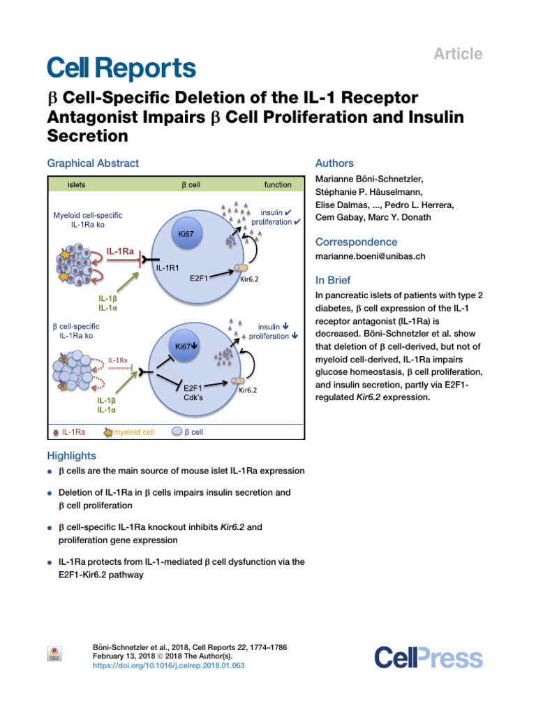 43.β Cell-Specific Deletion of the IL-1 Receptor Antagonist Impairs β Cell Proliferation and ...