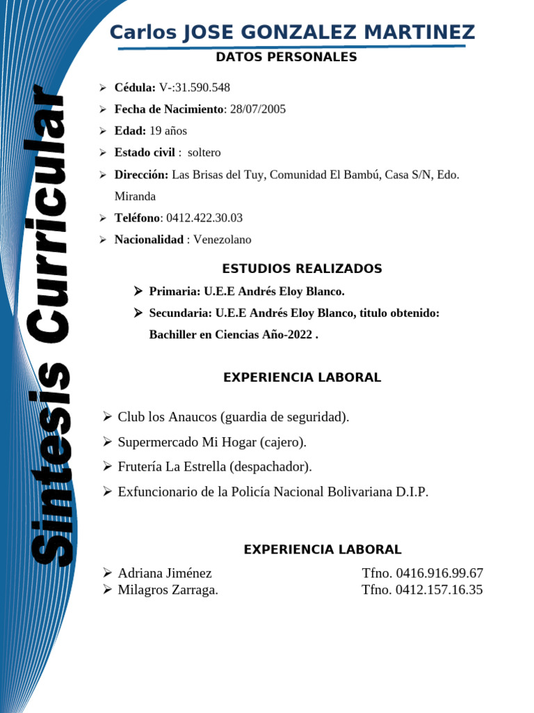 Curriculum Carlos | PDF