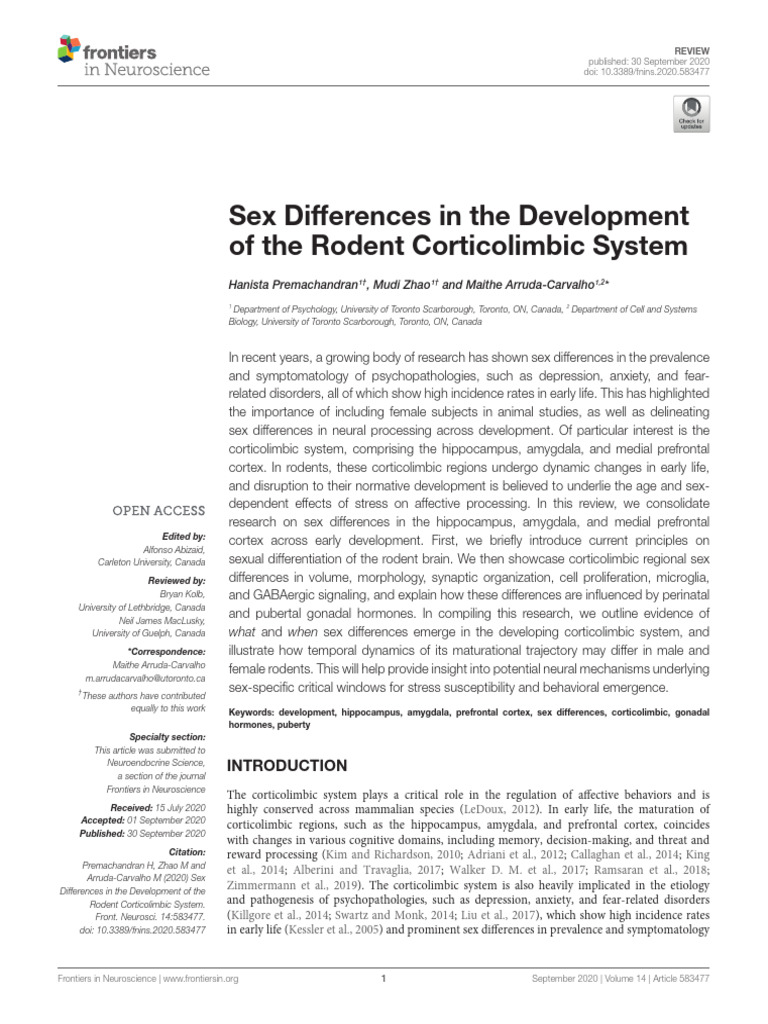 Sex Differences in The Development of The Rodent C | PDF | Hippocampus ...