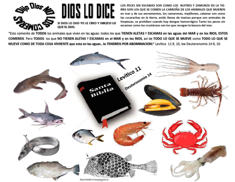 animales marinos inmundos | PDF