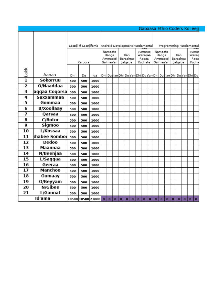 Unkaa Ethio Coders Sektara CHUO Aanaa, Kollejjii Fi Hojii Barbaadota | PDF
