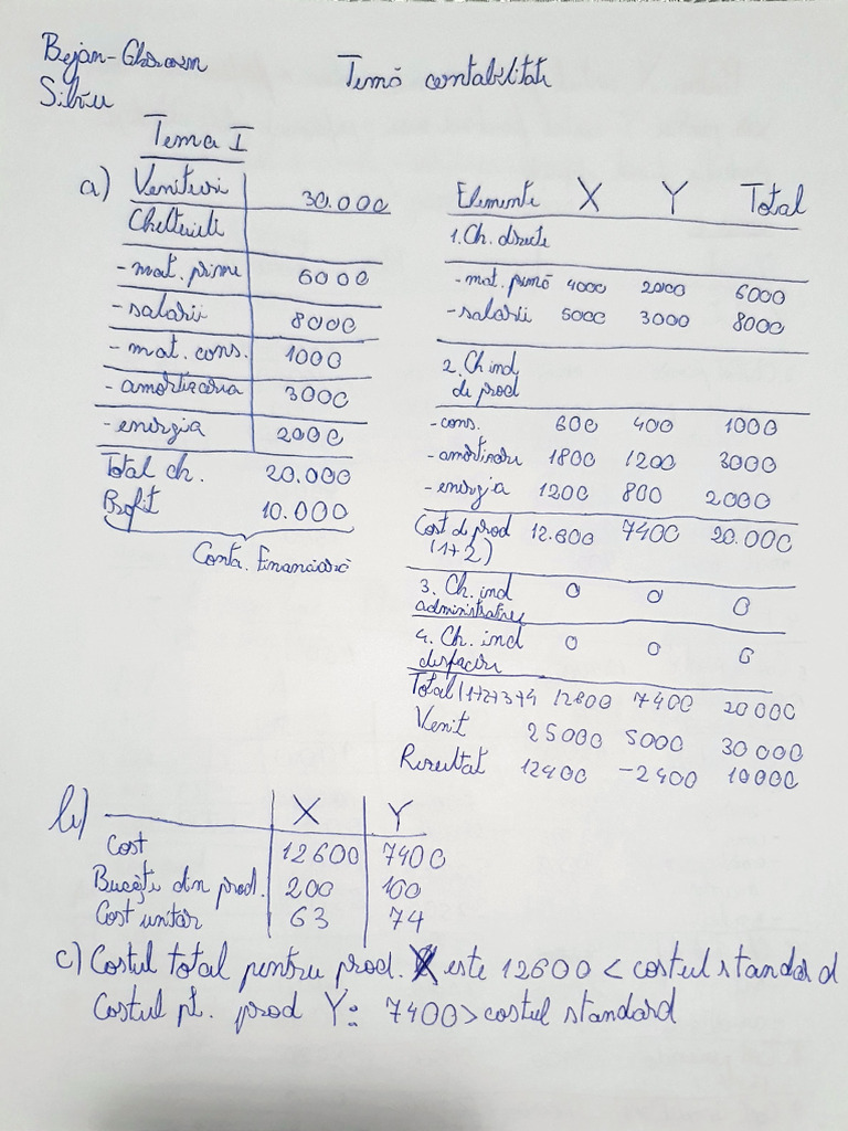 Tema Contabilitate | PDF
