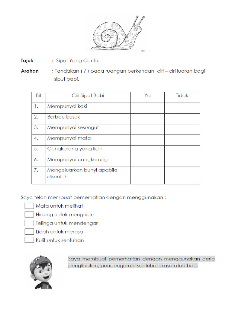 Kps 1 N 2 Tahun 3 Sains | PDF
