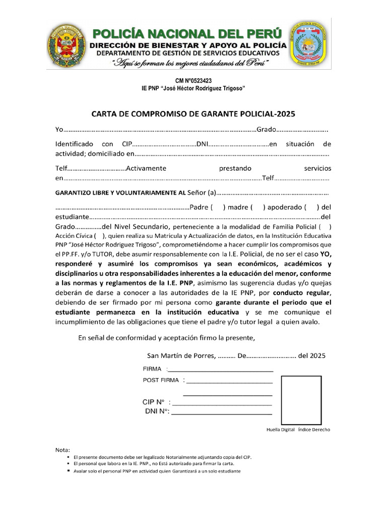 Carta Del Garante - AVAL (FPNP-AC) | PDF