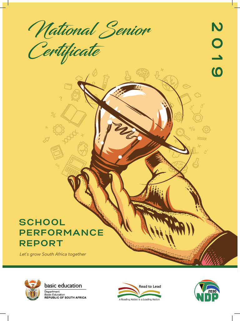 2019 NSC School Performance Report | PDF