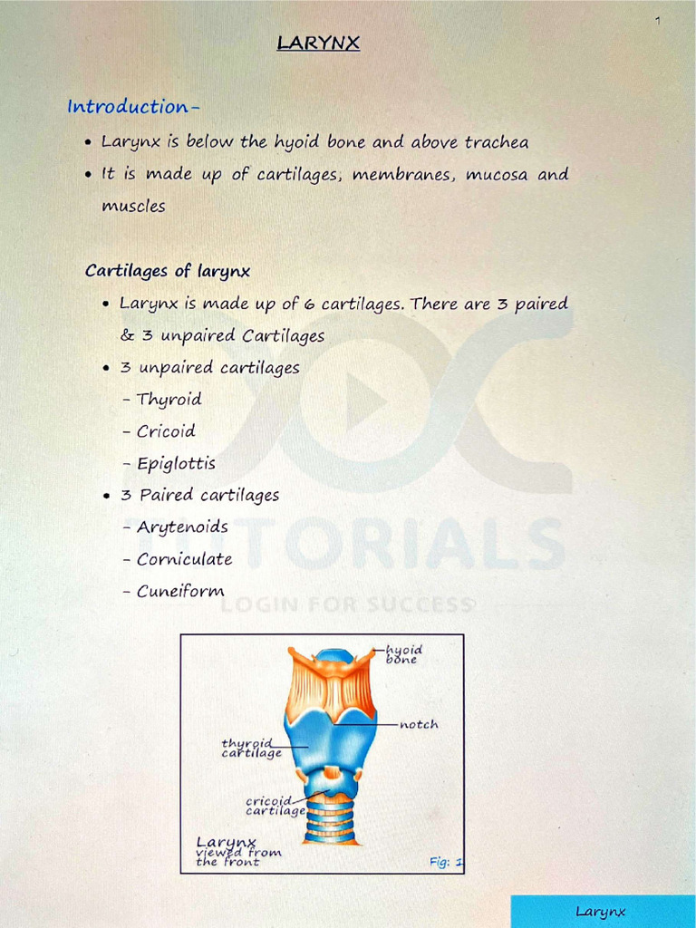 ENT Doctutorials | PDF